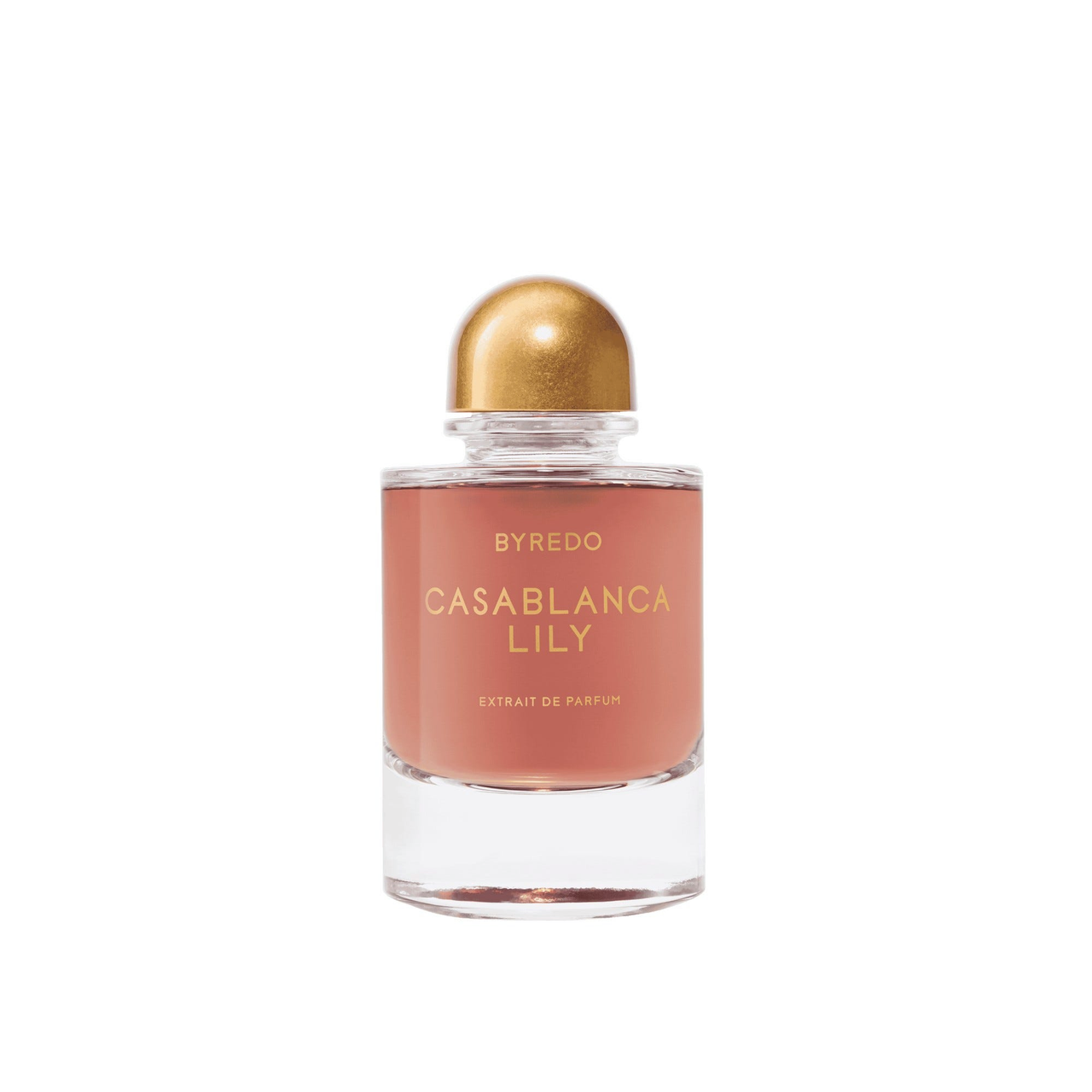 Schiphol | Casablanca Lily Night Veils